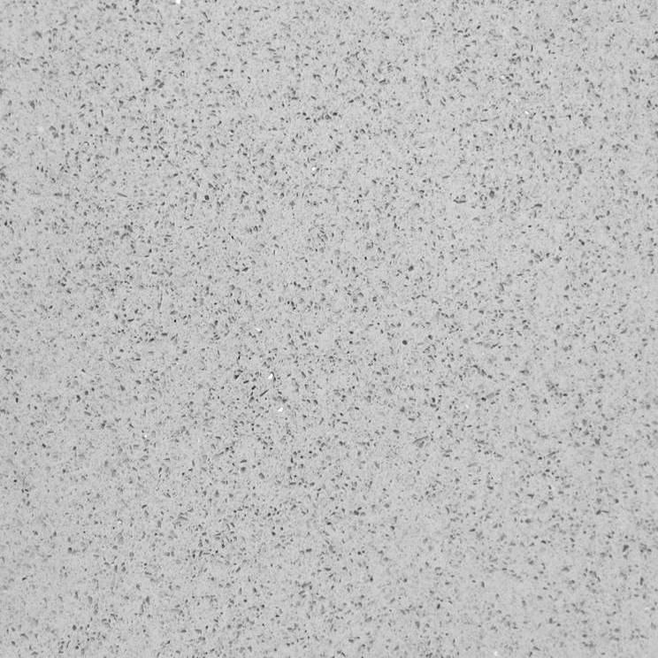 NSS of Sarasota -Gray Galaxy